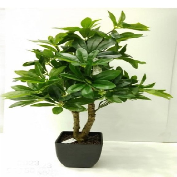 Artificial Schefflera Plant with Pot (2 ft) - Elen India